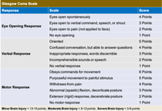 Core Concepts - Diagnosis and Management of Hepatic Encephalopathy ...