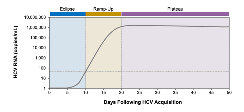 Core Concepts - Diagnosis of Acute HCV Infection - Screening and ...