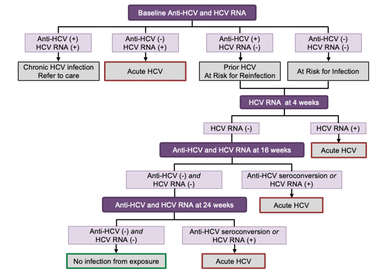 Core Concepts - Diagnosis of Acute HCV Infection - Screening and ...