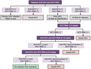 Core Concepts - Diagnosis of Acute HCV Infection - Screening and ...