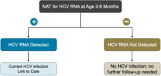Core Concepts - Recommendations for Hepatitis C Screening - Screening ...