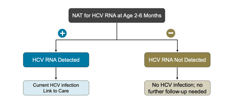 Core Concepts - Perinatal HCV Transmission - Treatment of Key ...