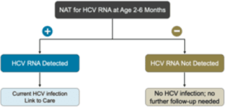 Core Concepts - Perinatal HCV Transmission - Treatment of Key ...