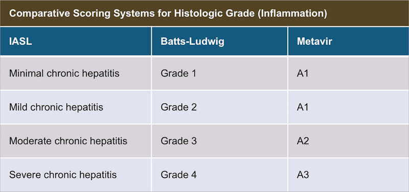 Core Concepts - Evaluation and Staging of Liver Fibrosis - Evaluation ...